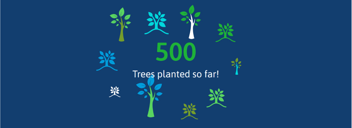 Our first 500 trees