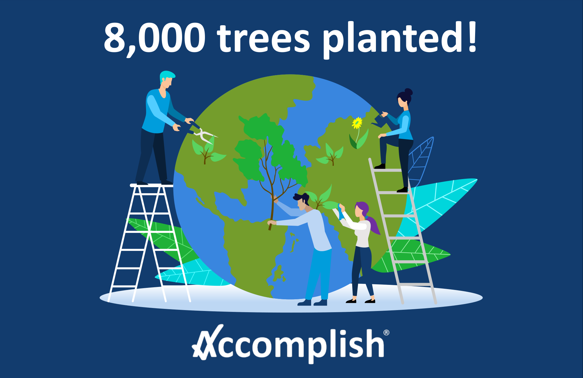 8 000 Trees Planted